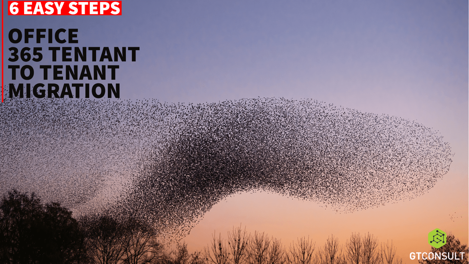 Creating a Knowledge Base in SharePoint: Your Complete Guide | GTconsult